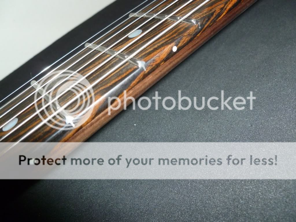 Alpine White, Black Binding, Sexy neck | Unofficial Warmoth Forum