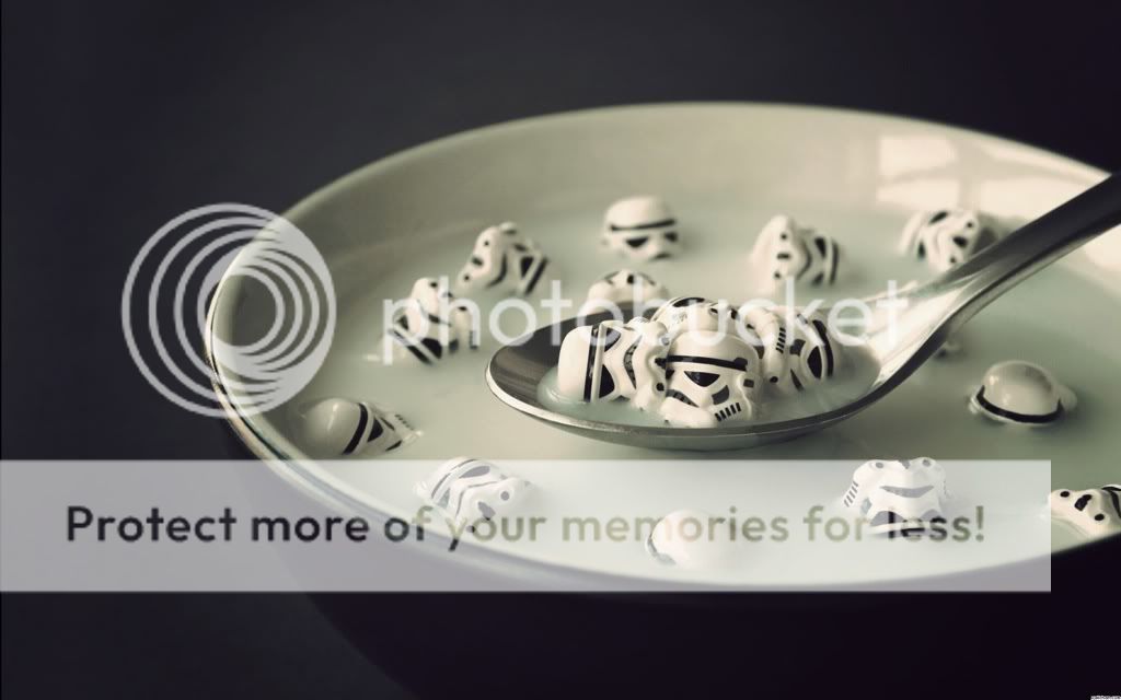 Alpine White, Black Binding, Stunning Neck | Page 2 | Unofficial ...