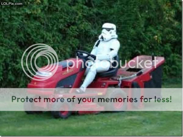 Alpine White, Black Binding, Stunning Neck | Page 2 | Unofficial ...