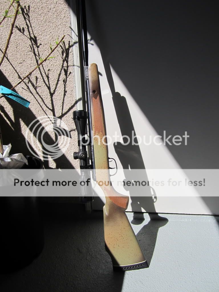 Benjamin Regal NP range report - Calguns.net